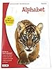Deluxe Preschool Kindergarten Early Learing Bundle. 7 Items; Alphabet ...
