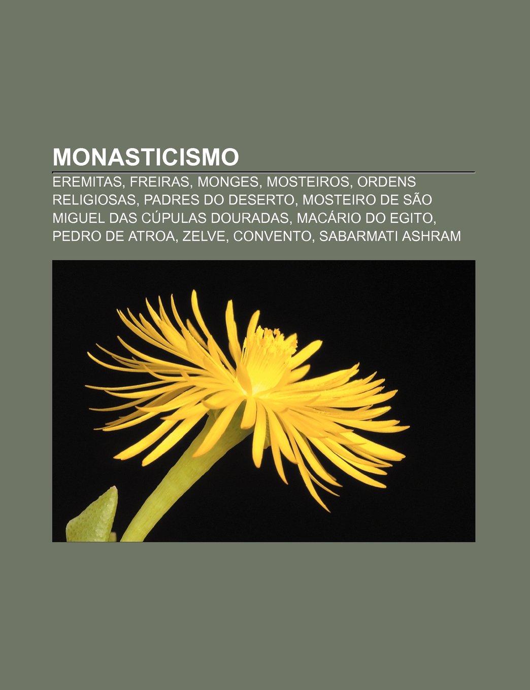 Monasticismo: Eremitas, Freiras, Monges, Mosteiros, Ordens Religiosas ...