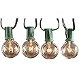 Amazon.com: Sival Clear Globe String Lights Set of 25 G40 Bulbs ...