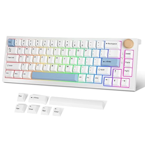 FANTECH MAXFIT67 3-Mode Custom Mechanical Gaming Keyboard RGB Backlit ...