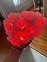 Amazon.com: Fairy String Lights Red Rose Flower 20 LED Battery Operated ...