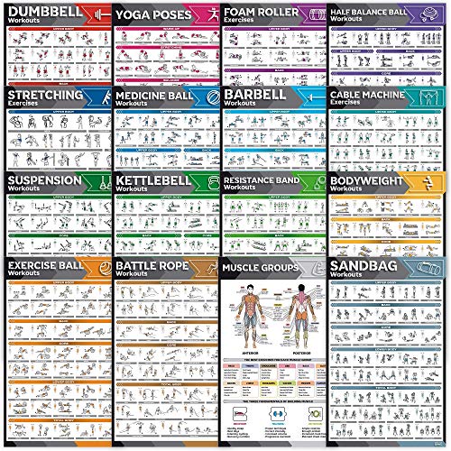 16-Pack Laminated Large Workout Poster Set - Perfect Workout Posters ...