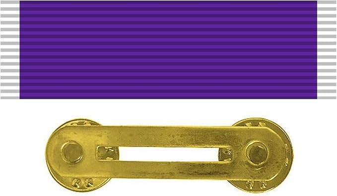 Amazon.com : Vanguard Uniform Accessories - Purple Heart Medal Ribbon ...