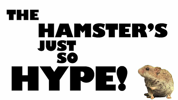 How to Survive Middle School: Donna Gephart: 9780385737937: Amazon.com ...