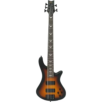 Amazon.com: Stagg BC300FL Fretless 4-String Fusion Electric Bass Guitar ...