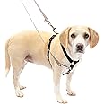 Amazon.com: PetSafe Sure-Fit Harness – Five Point Adjustable Dog ...