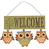 Amazon.com: New Designed Wood Owls Welcome Sign (White): Home & Kitchen