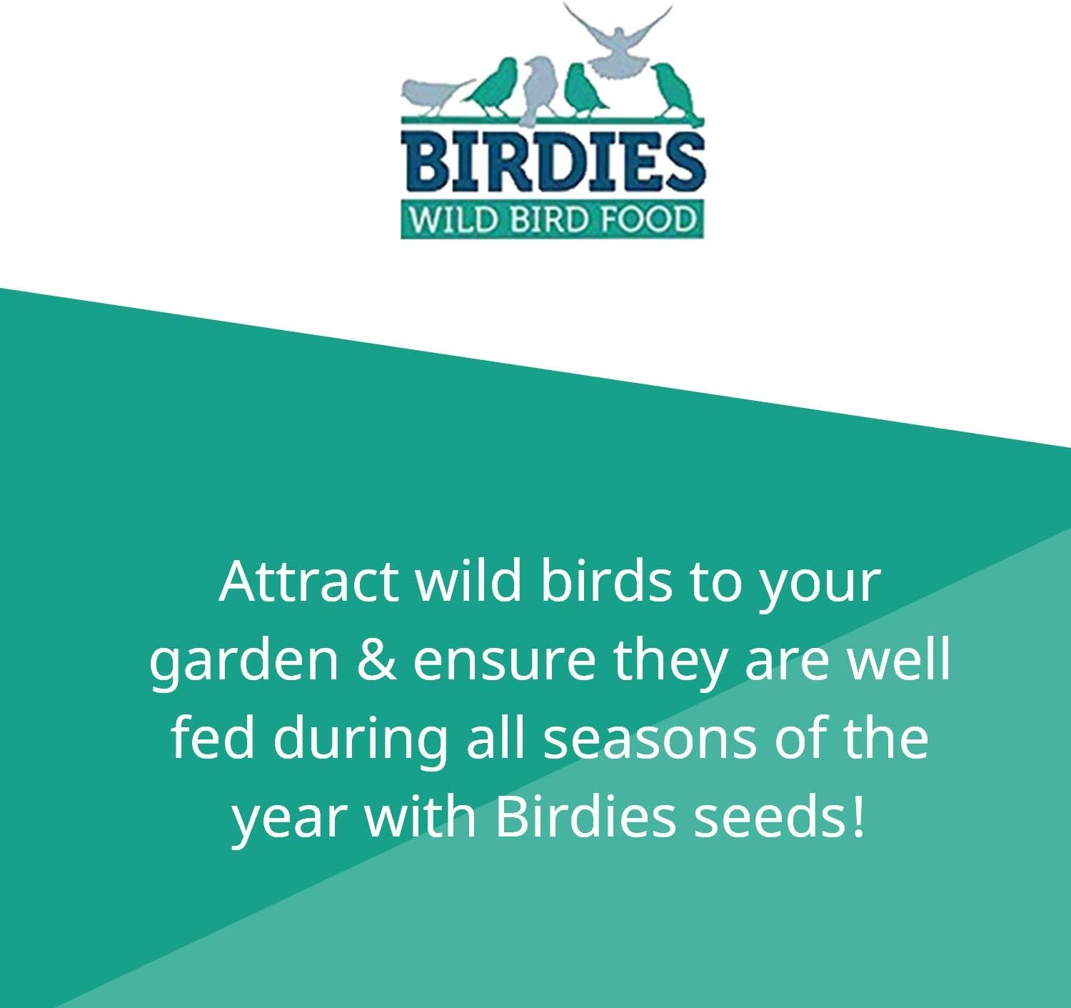 Birdies Wild Bird Food- Premium Peanuts – Bird Food for Wild Birds – 12 ...