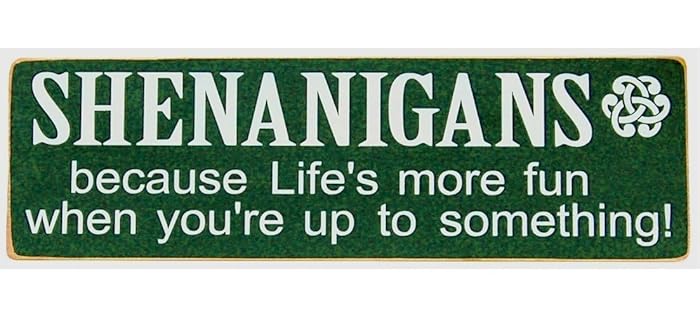 Amazon.com: Shenanigans because Life's more fun when you're up to ...