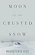 Moon of the Crusted Snow: A Novel: Waubgeshig Rice: 9781770414006 ...