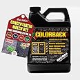 Amazon.com: COLORBACK Black Dye, 3,200 Square Feet Coverage - Colorant ...