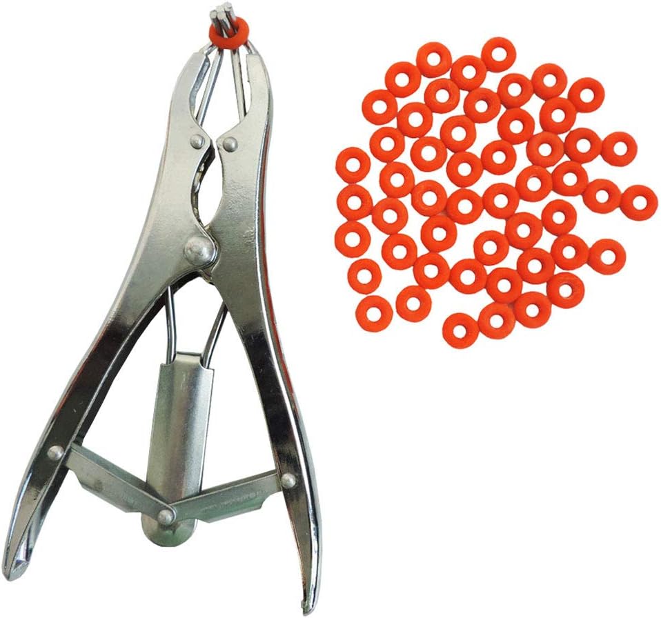 Lucky Farm Piggy Castration Pliers,Castration Banding Tail,100 Rubber Ring,Pig Cattle Sheep Goat ...
