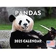 Amazon.com: Panda Calendar 2025 Panda Gifts Monthly Wall Calender 12 ...