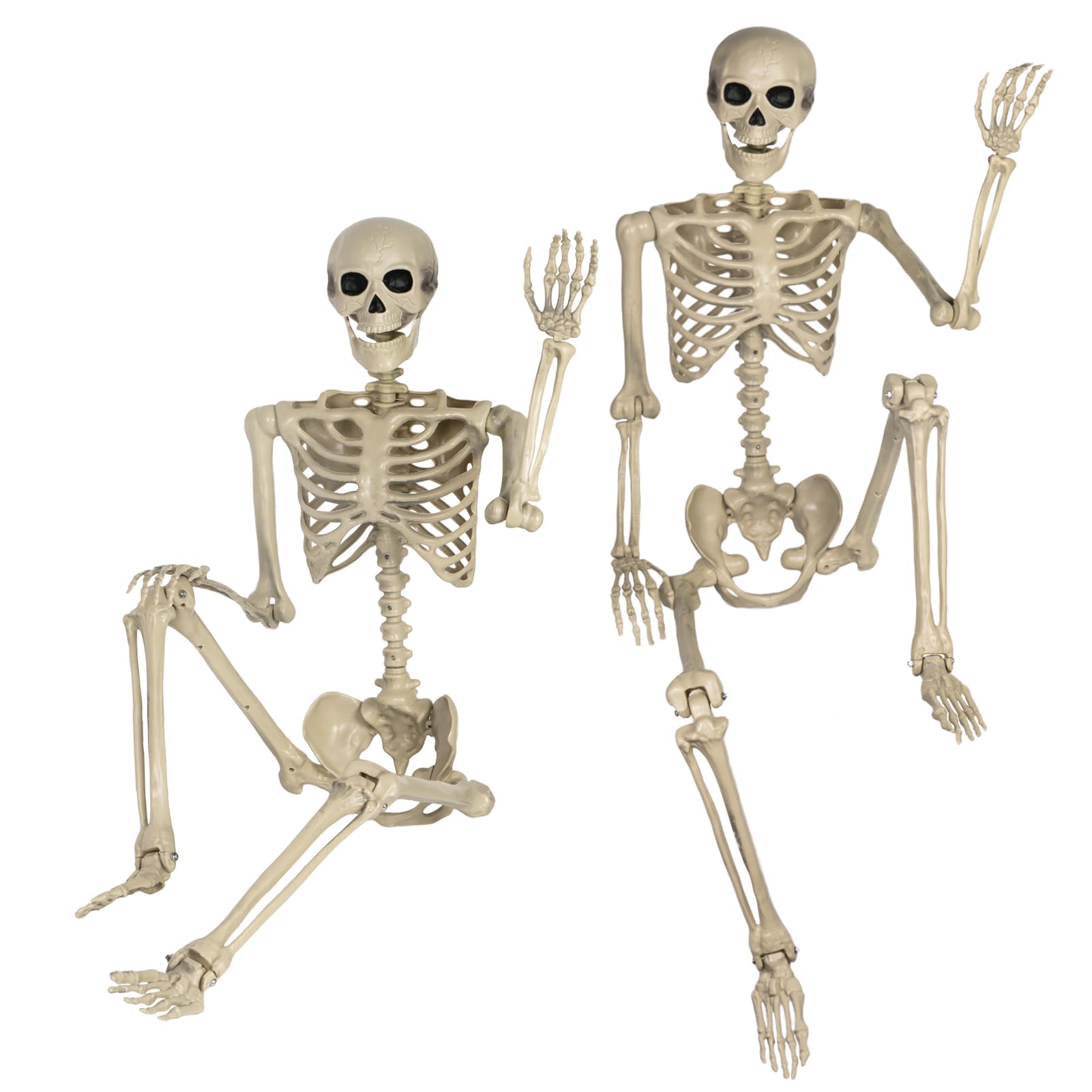 DECORLIFE 2 Pack Pose-N-Stay Skeleton, 5FT Life Size Skeletons, Full ...