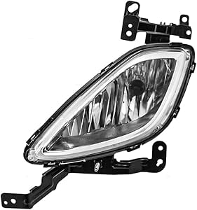 Amazon.com: Drivers Fog Light Lamp Lens Replacement for Hyundai Sedan ...