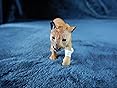 Amazon.com: Schleich 14853 Puma Wild Life Toy Figure : Toys & Games