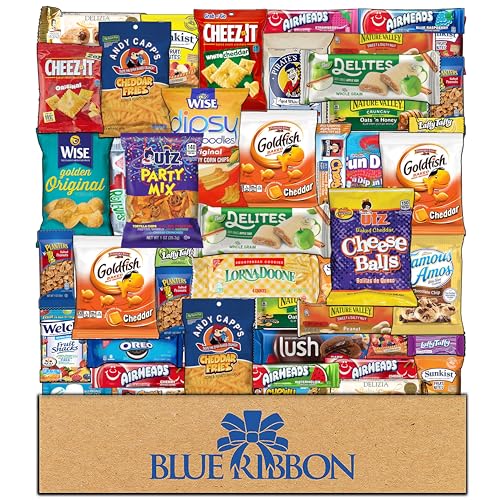 BLUE RIBBON Christmas Snack Box (53 Count) Care Package Variety Pack ...