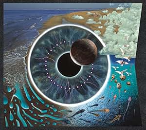 Pink Floyd - Pulse: Live 1994 (2DVD): Amazon.ca: David Gilmour, Nick ...