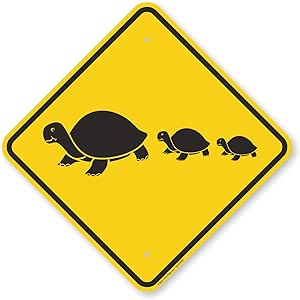 Amazon.com: Turtle Crossing Graphic with Baby Turtle, Heavy-Duty ...