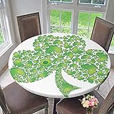 Irish Dirt Shamrock Growing Kit - The Green Head