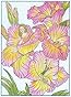 Amazon.com: Enchanted Garden: Enchanted Garden: Coloring Book ...
