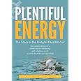 Plentiful Energy: The Story of the Integral Fast Reactor: The complex ...