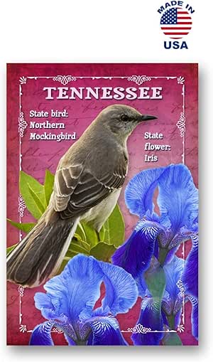 Amazon.com : TENNESSEE BIRD AND FLOWER postcard set of 20 identical ...