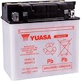 Amazon.com: Yuasa YUAM2S6CL YB16CL-B Battery, Black : Automotive