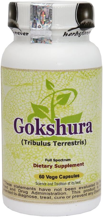 Amazon.com: Gokshura (Tribulus Terrestris) Plant & Fruit (Ayurvedic ...