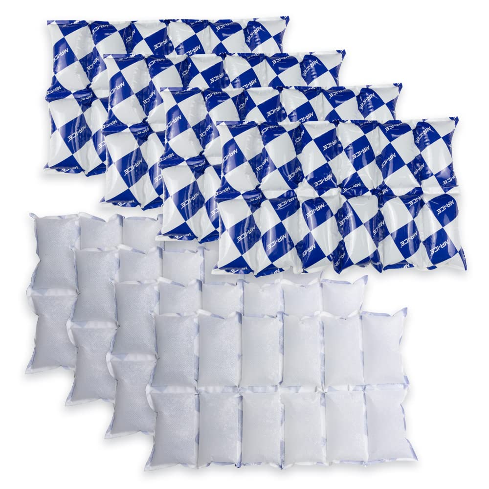 Mua Reusable Ice Packs for Shipping and Coolers - Dry Ice Packs for ...