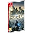 Amazon.com: Warner Games Video Game for Switch Hogwarts Legacy: The ...