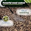 Syngenta Tenacity Herbicide - Pre-Emergent and Post-Emergent Weed ...