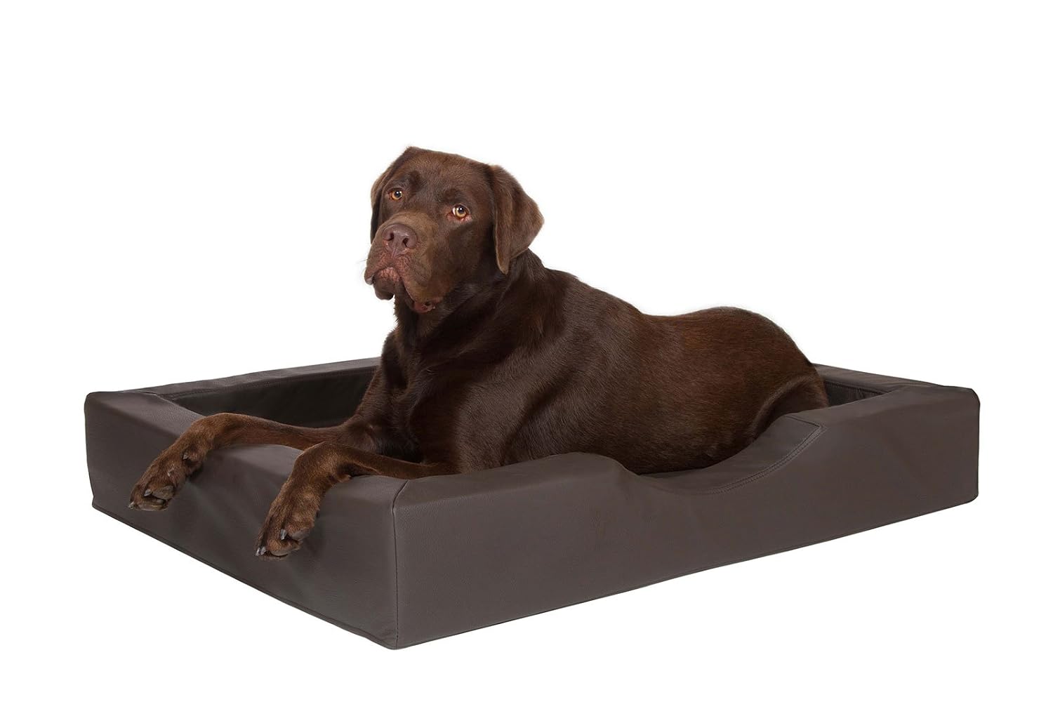 Orthopädischer Hundekorb Visko Compact Style 100x80x16cm braun: Amazon ...