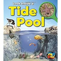Tide Pool: Look Inside: Spilsbury, Louise, Hanna, Gary: 9781432972042 ...