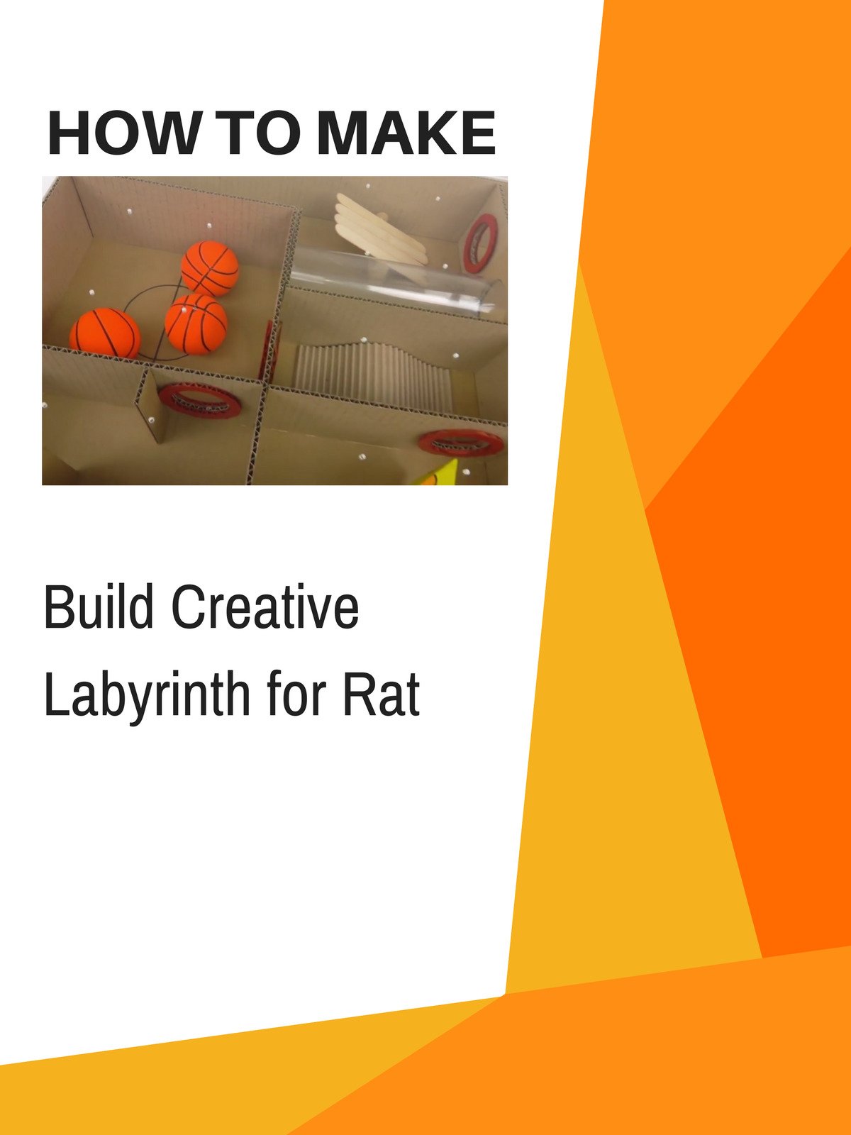 Amazon.com: How to Build Creative Labyrinth for Rat : ---, Wakadana ...