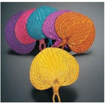 Amazon.com: 12 Natural Raffia Hand Fans Party Favors: Kitchen & Dining