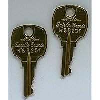 2-Keys for Electrical Panels & Switches SafeCo Brands (NSR251 Square D ...