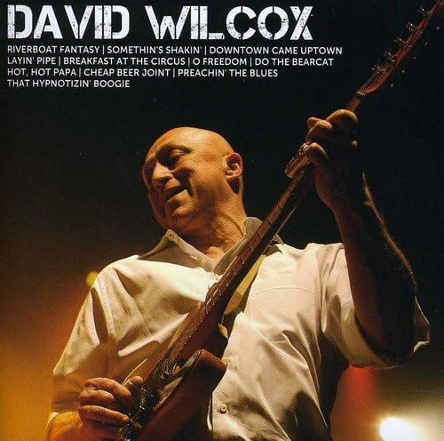 ICON: David Wilcox: David Wilcox: Amazon.ca: Music