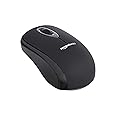 Amazon.com: Amazon Basics Wireless Computer Mouse with USB Nano ...