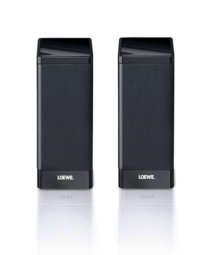 Loewe Individual Sound Universal Stereo Front-Lautsprecher: Amazon.de ...