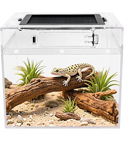 Reptile Control Center 16 Quart Vented Vivarium Container - 2 Vent ...