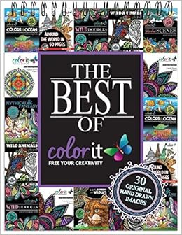 The Best of ColorIt Adult Coloring Book - Features 30 Original Hand ...
