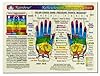 Rainbow® HAND Reflexology/ Acupressure Massage CHART in the Inner Light ...