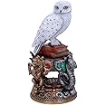Amazon.com: Nemesis Now Harry Potter Hedwig Figurine, Collectible Resin ...