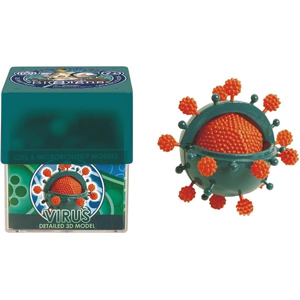 How To Make A Virus Model