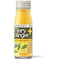 Greenhouse Juice Fiery Ginger Wellness Shot 12-Count 60ml Glass Bottles ...