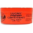 Lucas Ointment 75g (made In Australia), 75 grams : Amazon.ca: Health ...