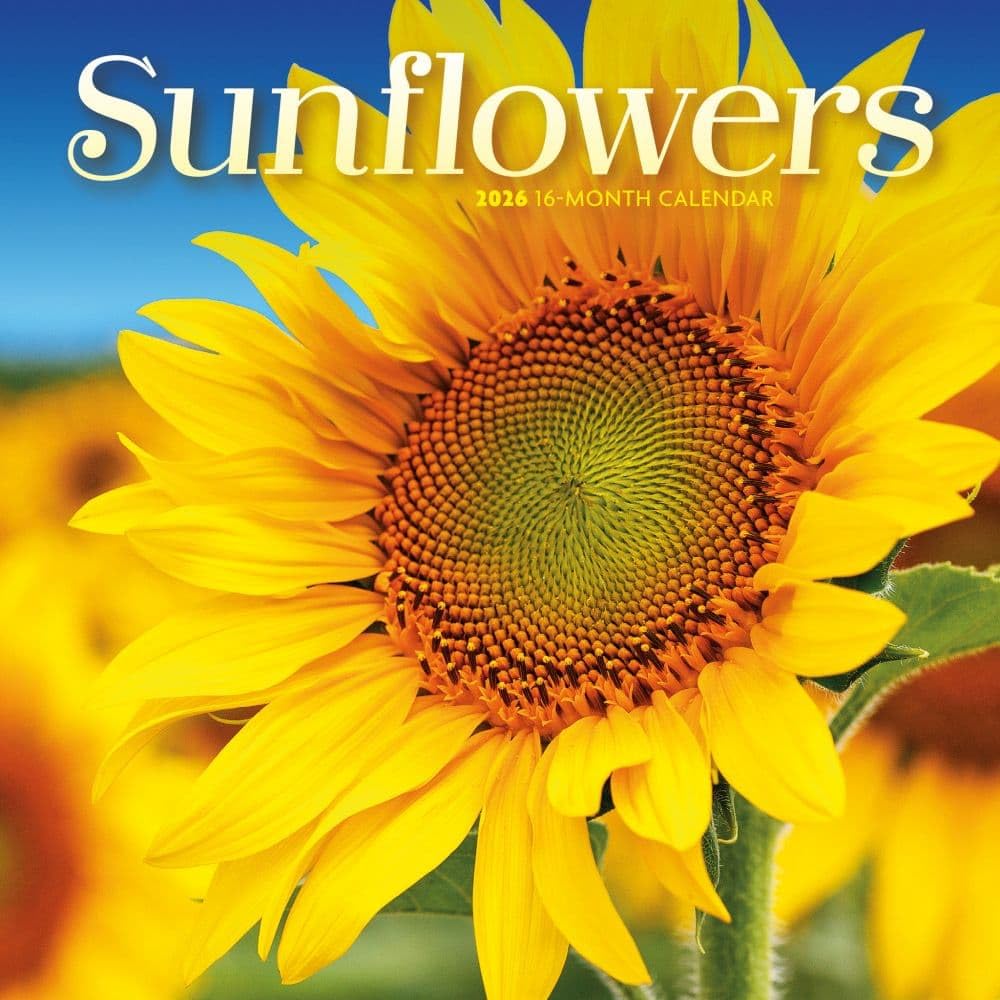 Carousel Calendars, Sunflowers Special Value 2026 Mini Wall Calendar, 7 ...