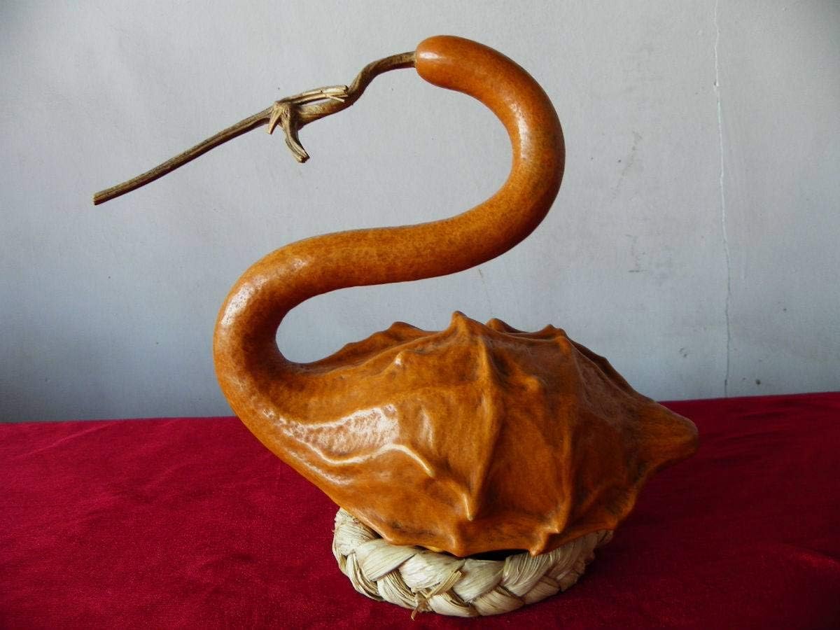 Speckled Swan Gourd Lagenaria Siceraria Seeds 5+Non GMO Cobra Bottle ...