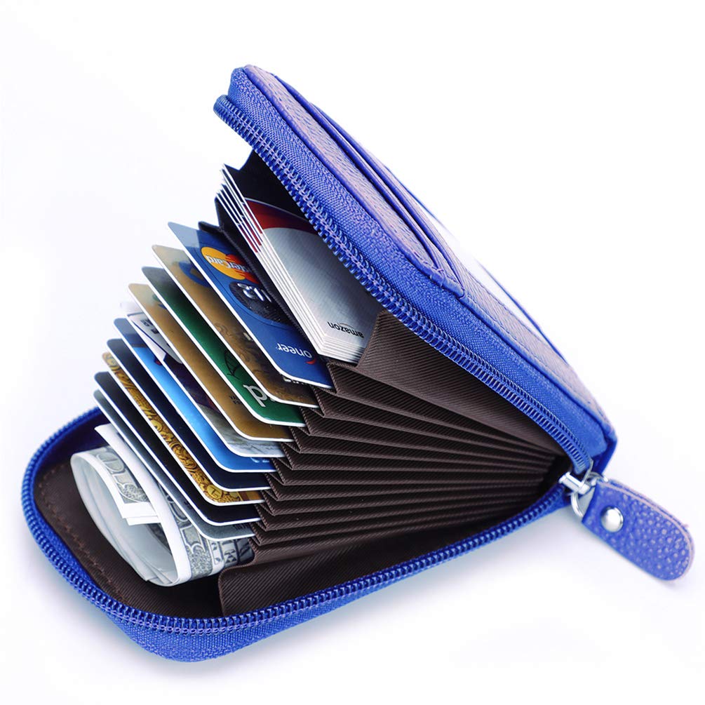 Best Wallet Organizer For Women | Literacy Basics